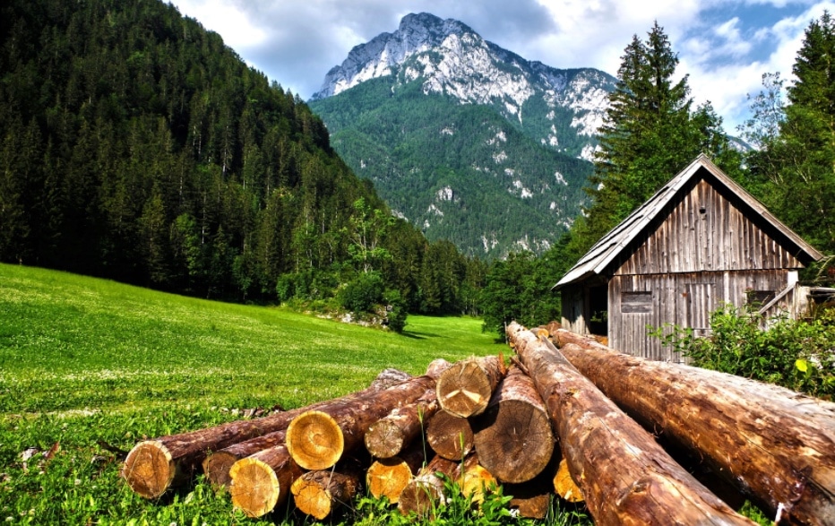 Half Log Siding: Everything You Need To Know - Tru Log Siding